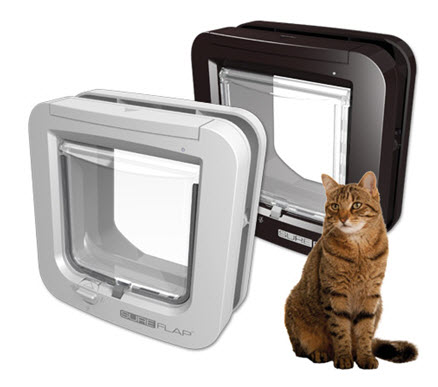 The ultimate cat flaps are now available! - Home Loving Cats